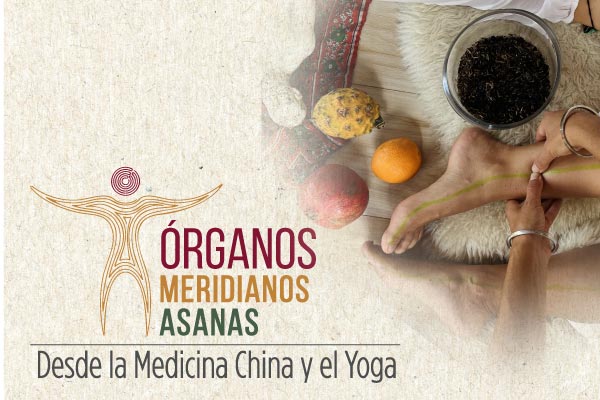 Órganos • Meridianos • Asanas - Happy Yoga Estudia